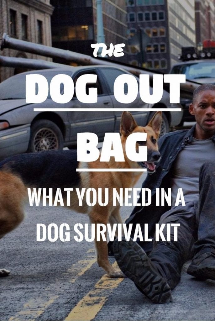 Dog Out Bag: What You Need In A Dog Survival Kit