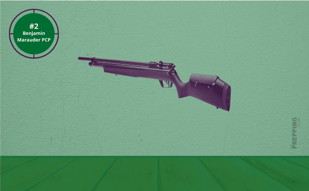 12 Best Survival Air Rifles For Hunting and Security