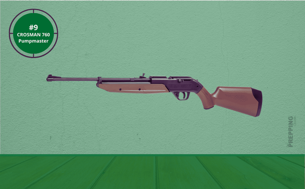 12 Best Survival Air Rifles For Hunting and Security