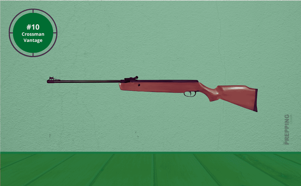 12 Best Survival Air Rifles For Hunting and Security