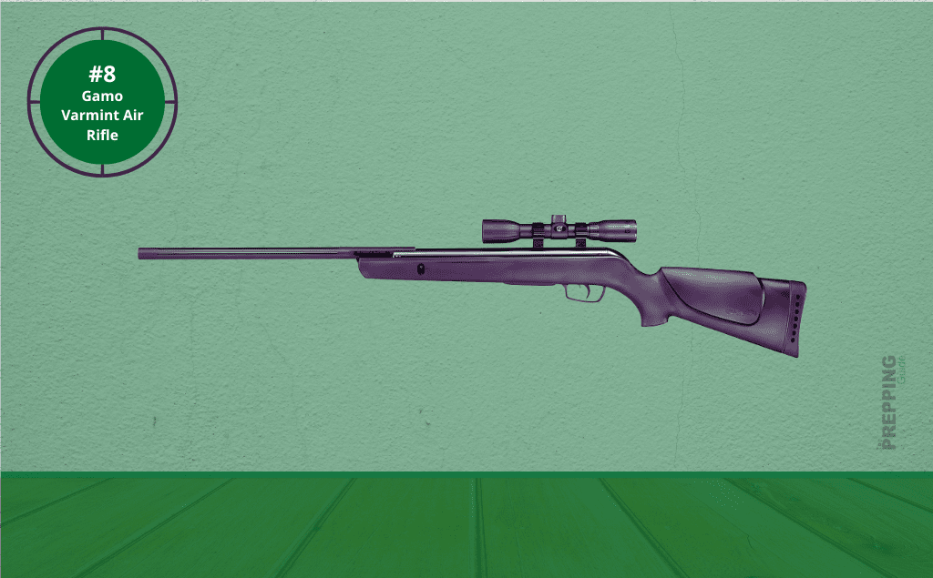 12 Best Survival Air Rifles For Hunting and Security