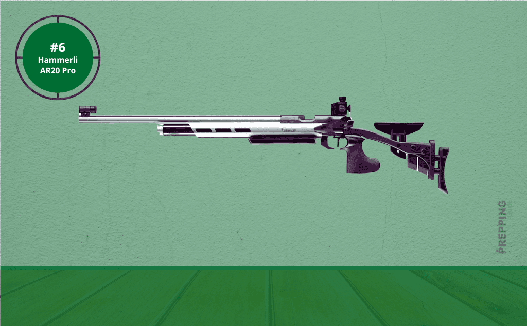 12 Best Survival Air Rifles For Hunting and Security