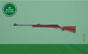 12 Best Survival Air Rifles For Hunting and Security