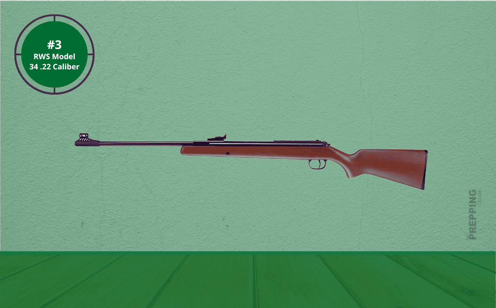 12 Best Survival Air Rifles For Hunting and Security