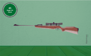 12 Best Survival Air Rifles For Hunting and Security