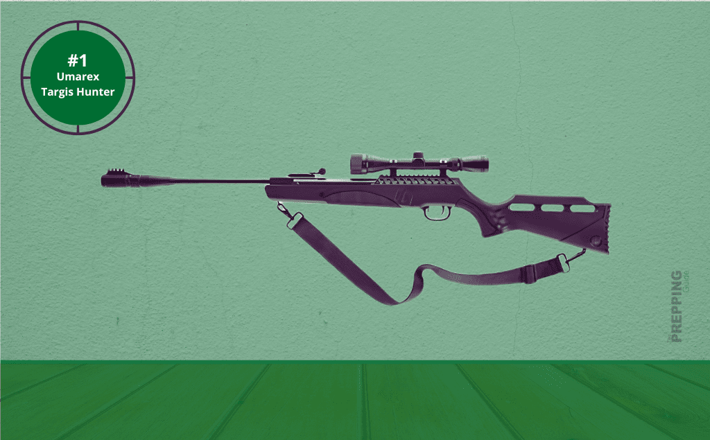 12 Best Survival Air Rifles For Hunting and Security