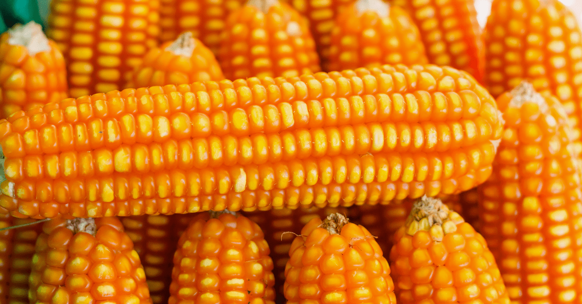 Long Life Food: A Comprehensive List of Shelf-Stable Essentials