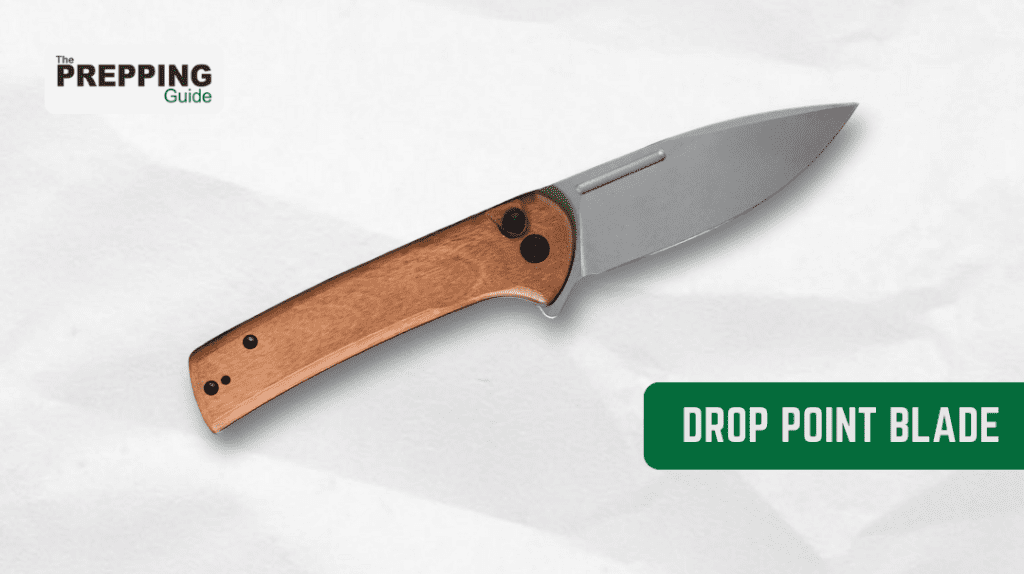 Clip Point vs Drop Point Knife | What’s the Difference?